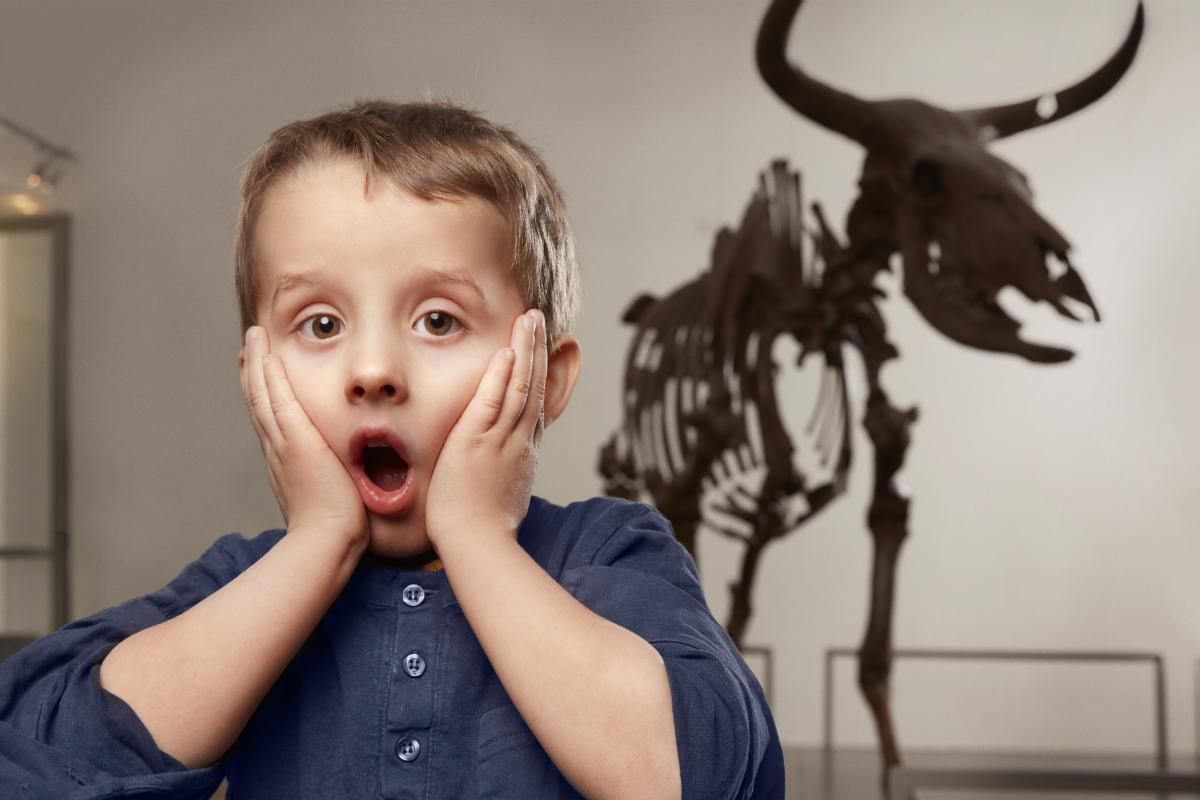 The National Museum of Denmark launches a “Boredom button”