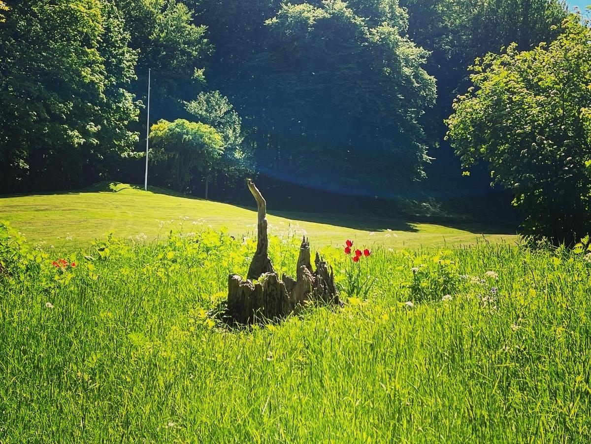 Mere mangfoldig natur i Liselund Have - Nationalmuseet Mere mangfoldig natur i Liselund Have - Nationalmuseet